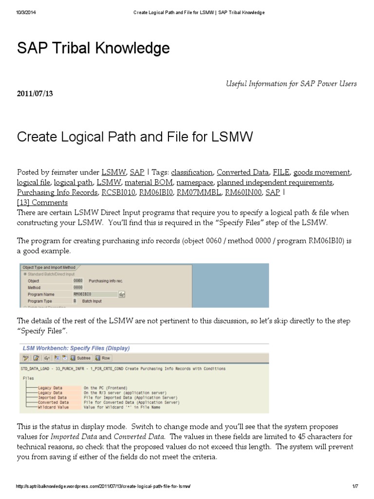 Creating Logical Paths for LSMW in SAP | PDF | File Format | Computer File