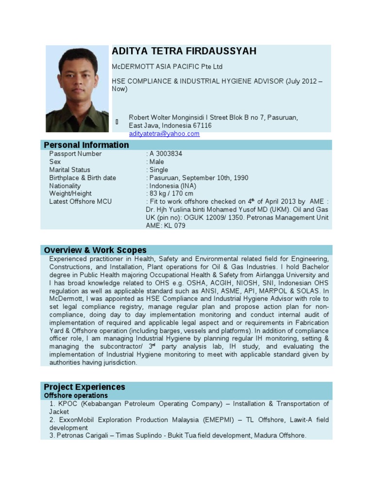 CV Aditya Tetra | PDF | Nature