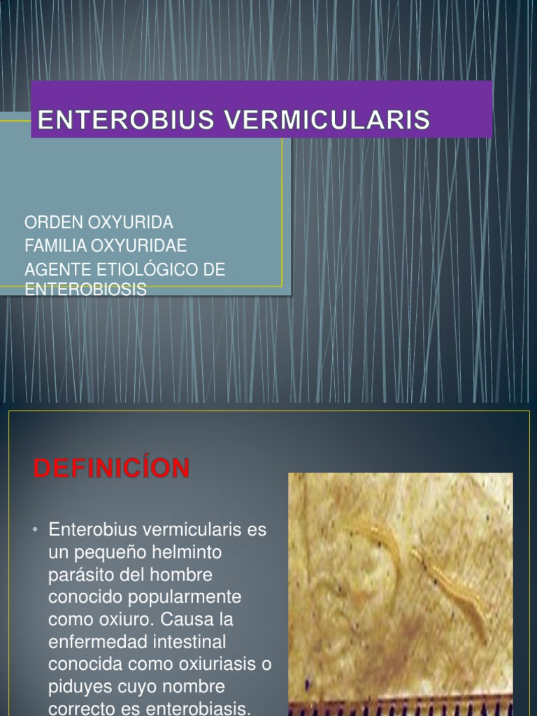 Oxiuros Diapositiva | PDF | Gastroenterología | Enfermedades y trastornos