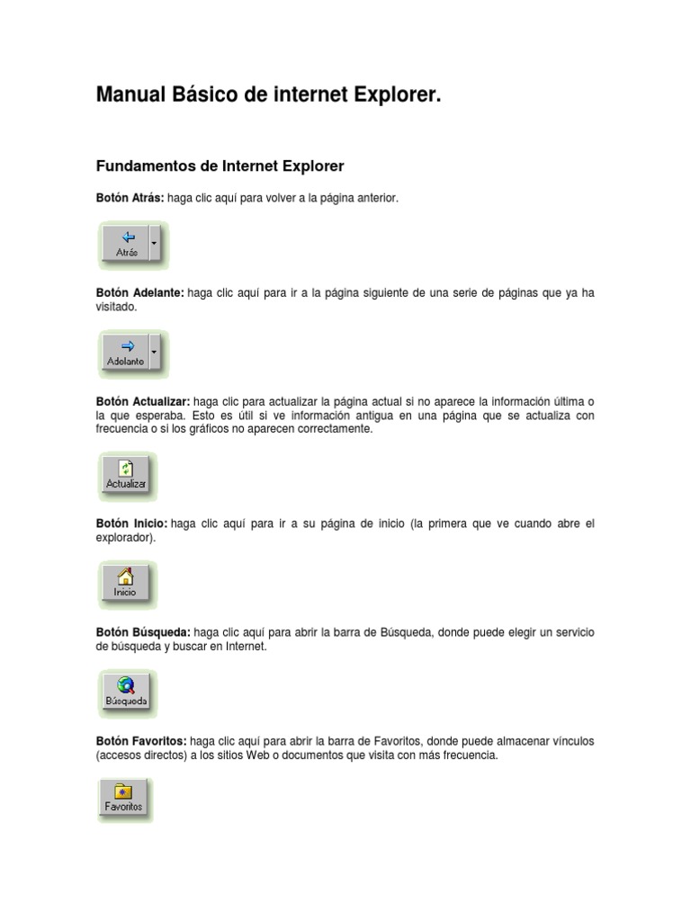 Manual Básico de Internet Explorer | PDF | Point and Click | Internet