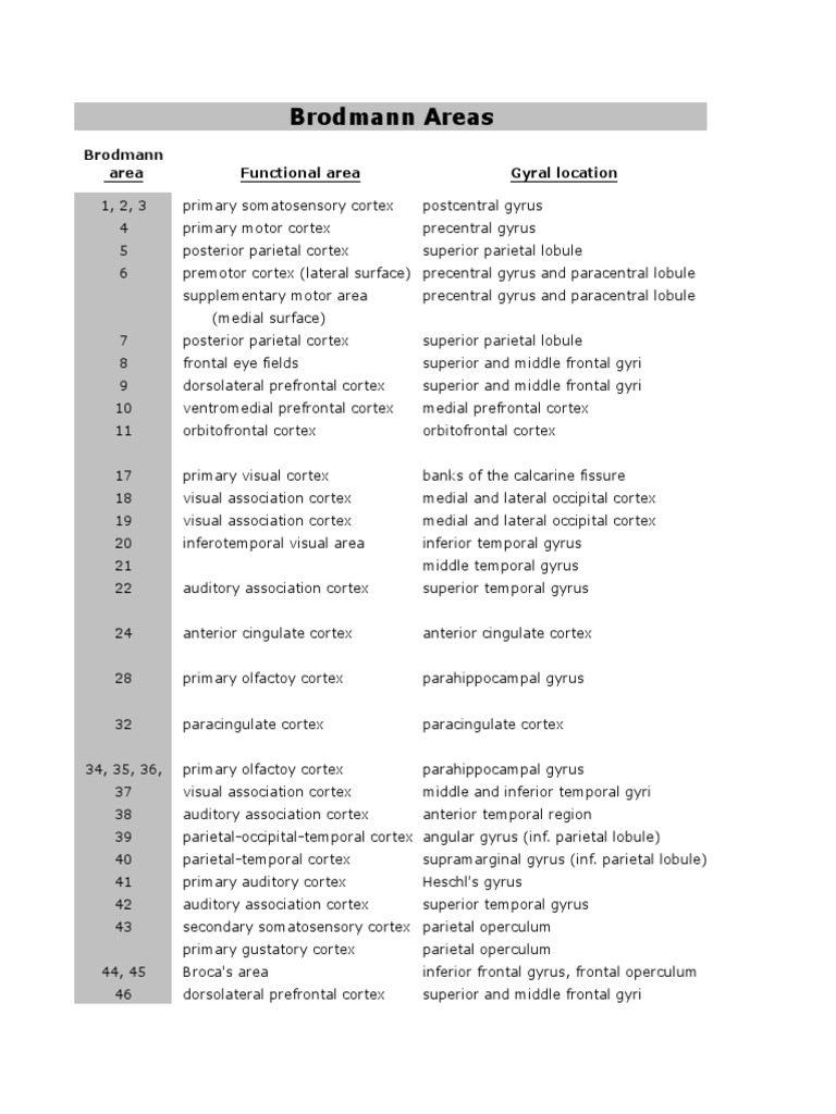 Brodmann Areas and Their Functions | PDF | Science & Mathematics