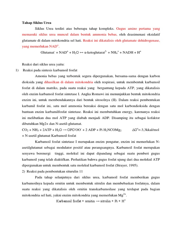 Tahap Siklus Urea | PDF
