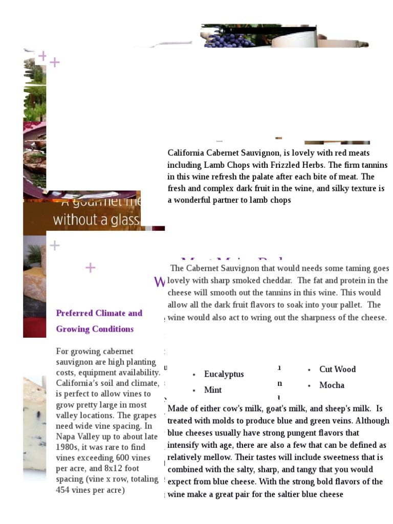 Wine Paper | PDF | California Wine | Grape Varieties