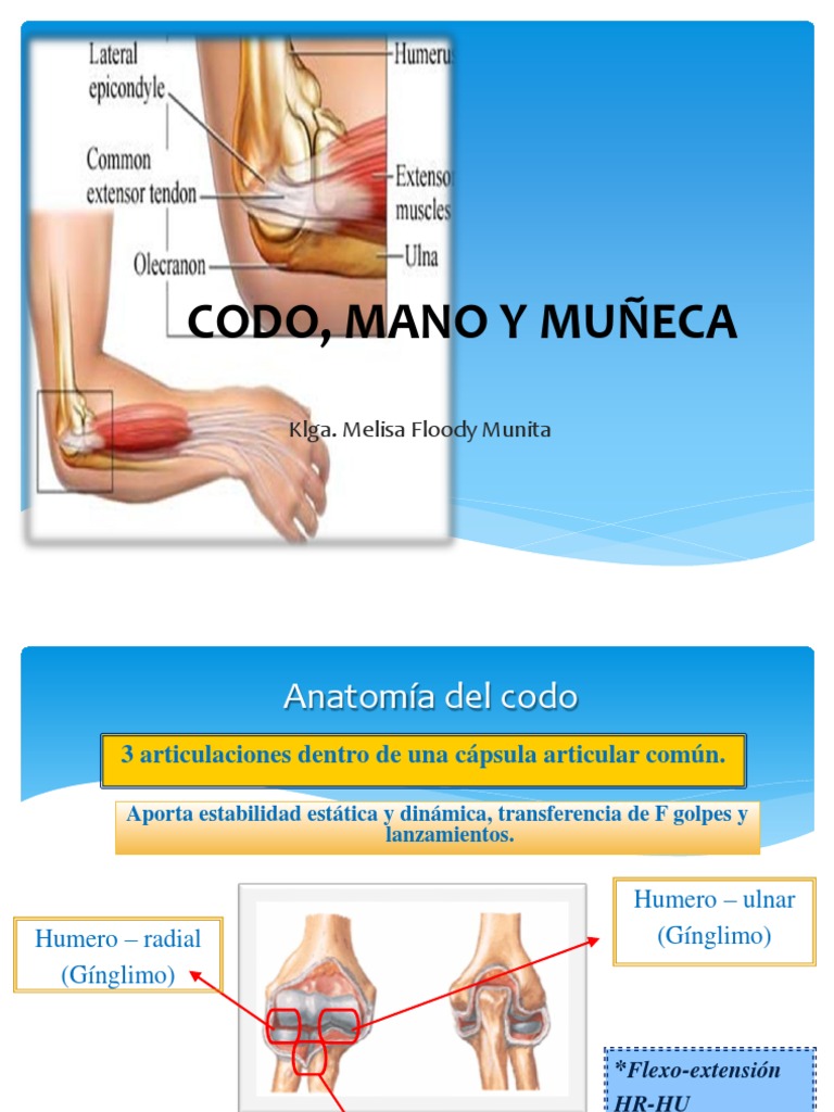 CODO!! | PDF | Codo | Mano