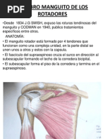 Revisión del intervalo rotador en MRI | PDF | Hombro | Extremidades ...