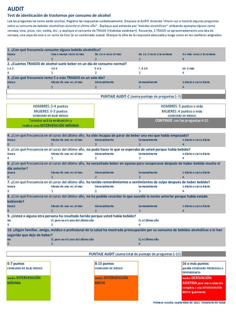 Audit Minsal 2011 Pdf Vino Bebidas Alcohólicas