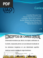 Etapas de la Caries Dental | PDF | Diente | Odontología