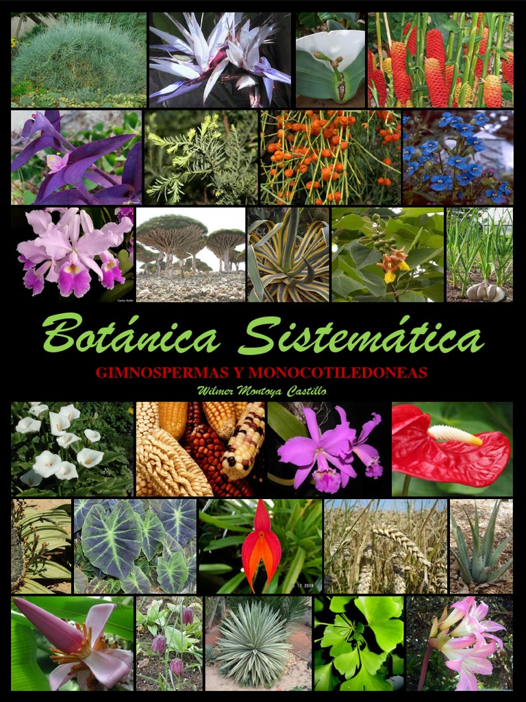 Manual de Botanica Sistematica | PDF | Eucariotas | Taxonomía (biología)