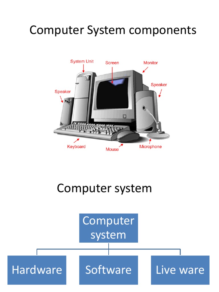 Computer System Components | Download Free PDF | Computer Data Storage ...