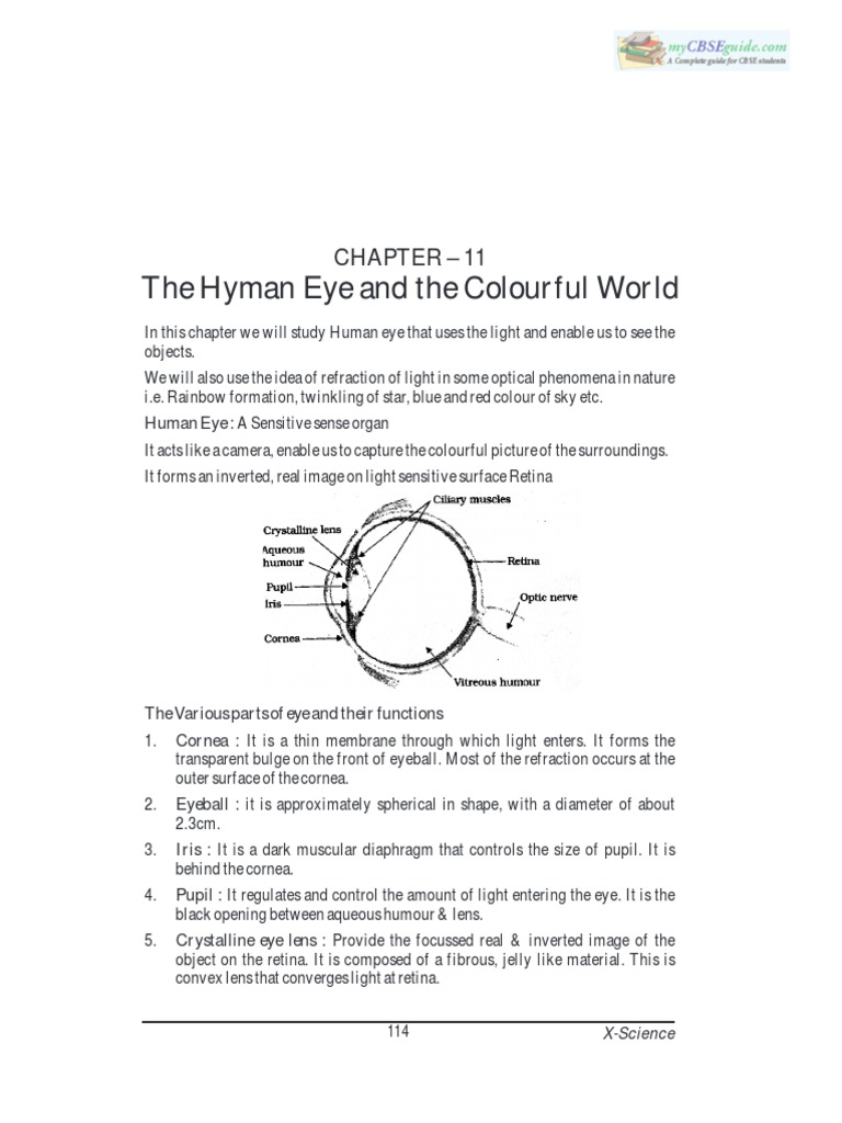 10 Science Notes 11 Human Eye and Colourful World 1 | PDF