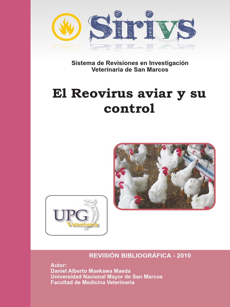 Articulo Reovirus Aviar Maekawa | PDF | Virus | Sistema inmune