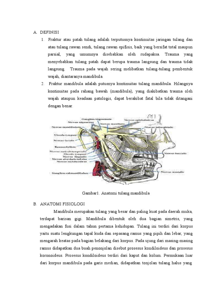 Fraktur Mandibula: Definisi dan Klasifikasi | PDF | Seni & Disiplin ...