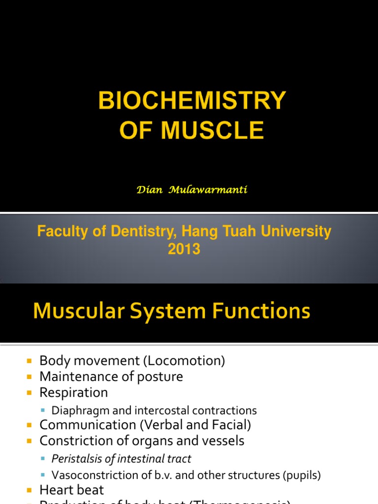 Biochemistry of Muscle | PDF | Muscle Contraction | Actin