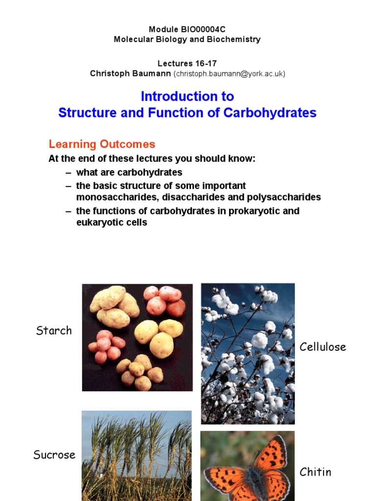 L16 L17 Carbohydrates 2013 14 | PDF | Extracellular Matrix | Carbohydrates