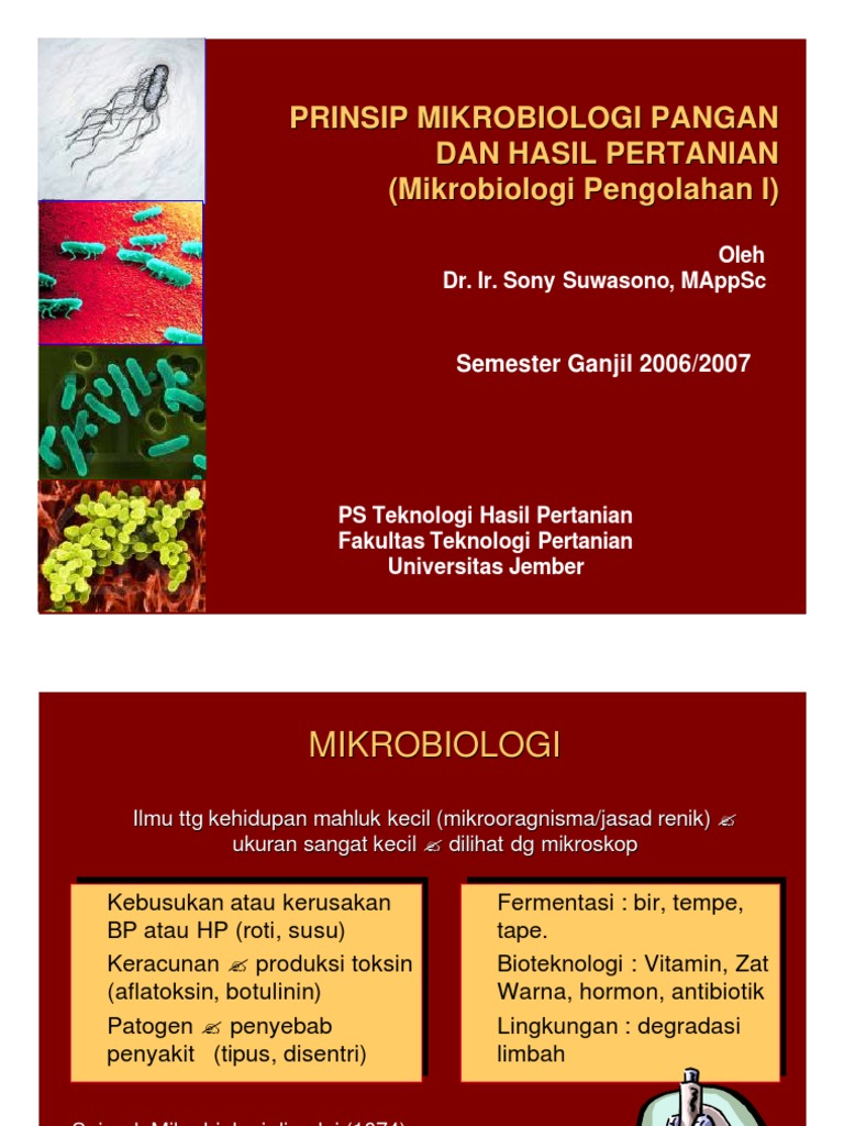 Prinsip Mikrobiologi Pangan PDF | PDF