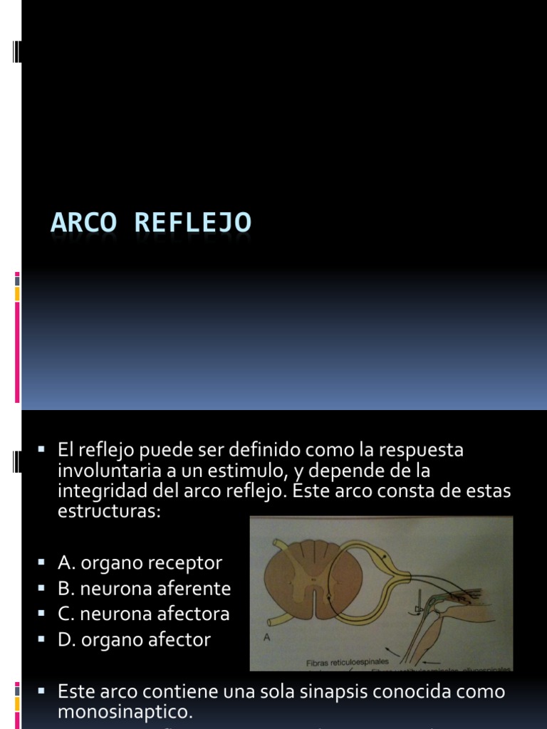 Arco Reflejo | PDF