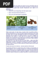 Para Qué Sirve La Trementina ®【Como Uso Medicinal】 | PDF | Medicina ...