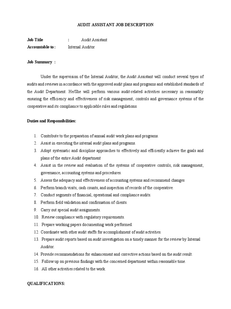 Internal Audit Staff | PDF | Internal Audit | Audit