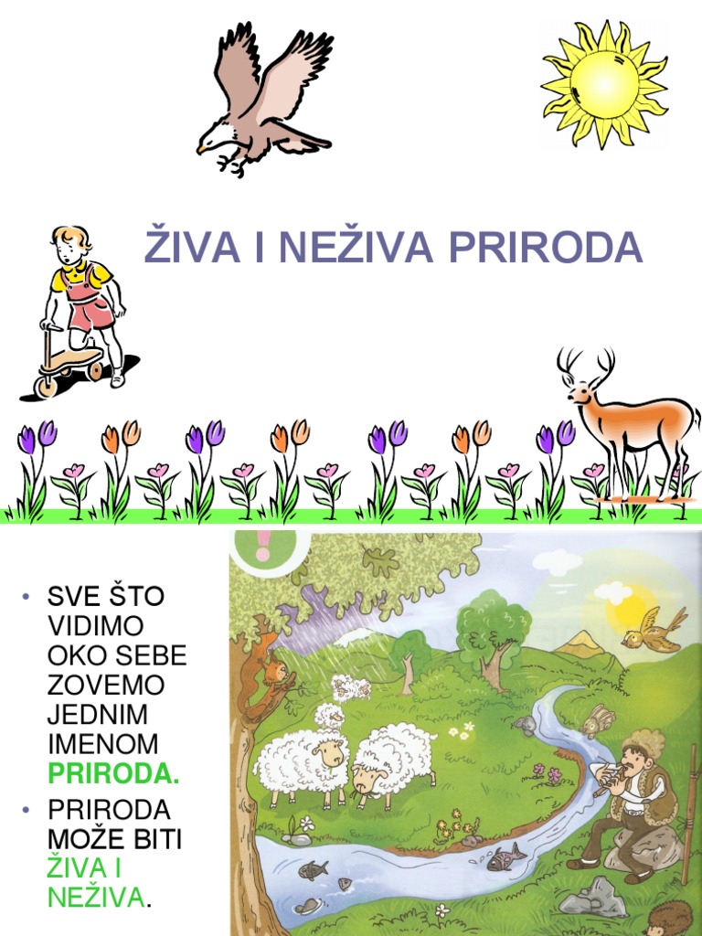 Ziva I Neziva Priroda Prezentacija 1 | PDF