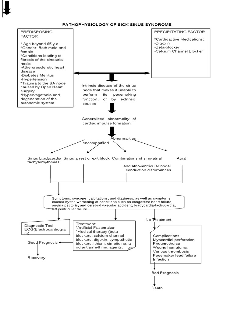 Schematic Diagram-pathophysiology of Sick Sinus Syndrome