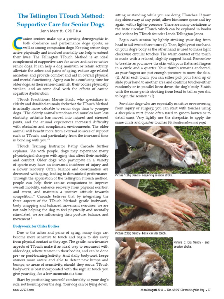 The Tellington Ttouch Method: Supportive Care For Senior Dogs | PDF ...