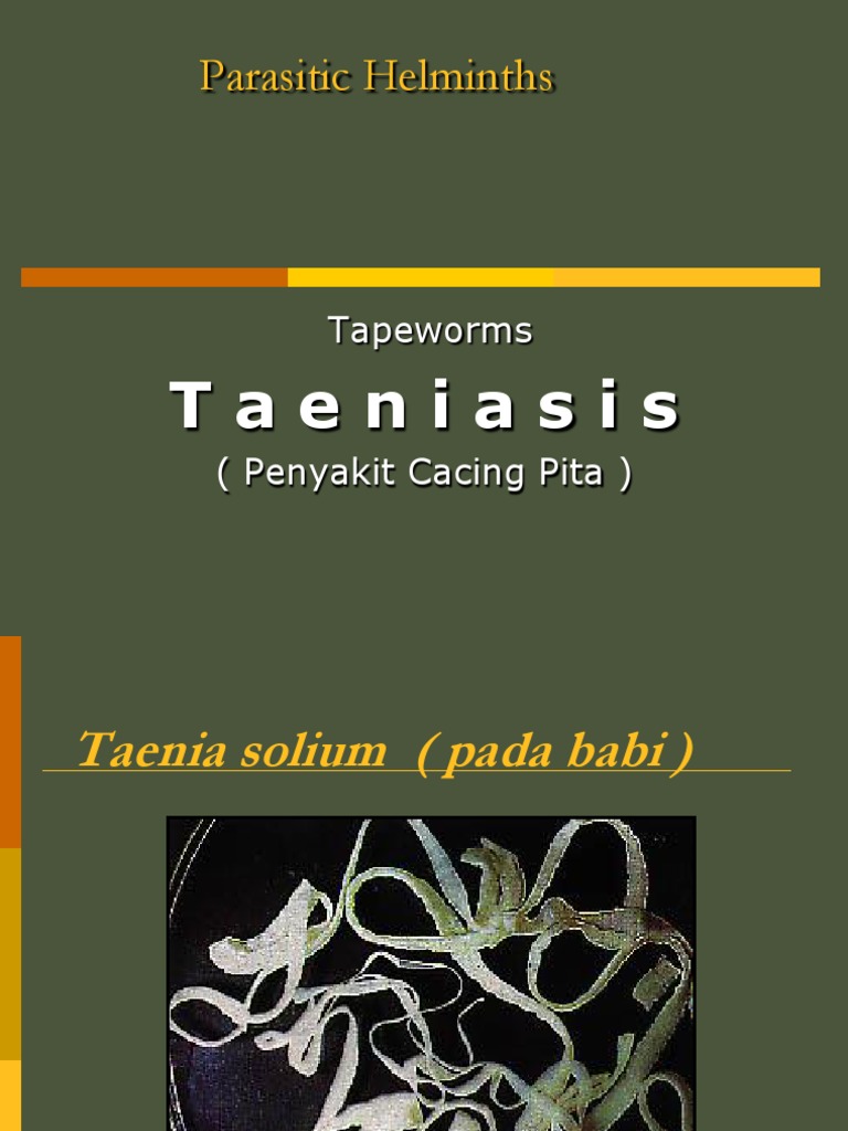 taeniasis | Veterinary Medicine | Parasites