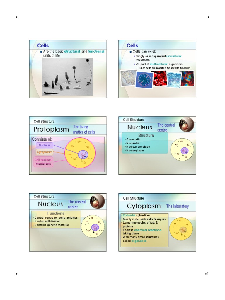 Cells Powerpoint | Cell (Biology) | Cell Membrane