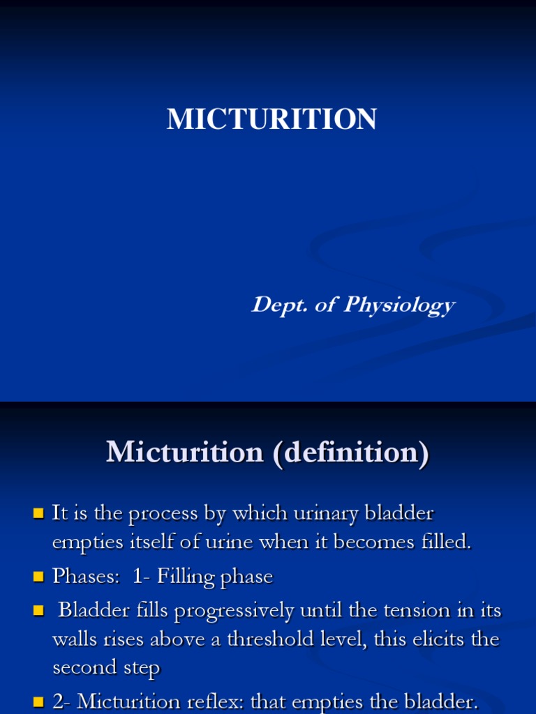 Understanding Micturition Physiology | PDF | Urination | Urinary Bladder