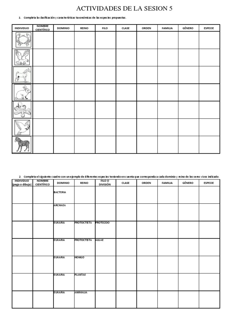 ACTIVIDADES 5 TAXONOMÍA DE LOS SERES VIVOS
