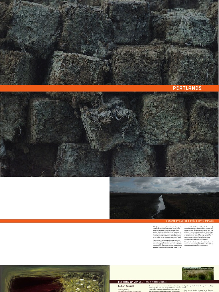 Exploring Peatlands: Art and Ecology | PDF | Peat | Landscape