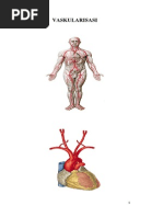 Vaskularisasi Ekstremitas Superior Et Inferior | PDF