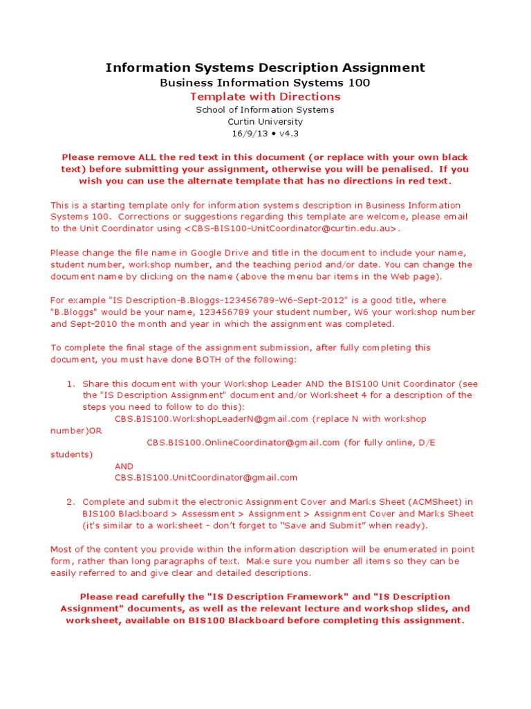 B Is 100 Information System Description Template | PDF | Input/Output | Information System