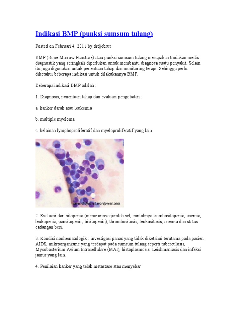 Indikasi Punksi Sumsum Tulang (BMP) | PDF