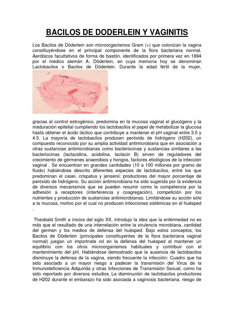 Bacilos de Dordelein | PDF | Vagina | Las bacterias