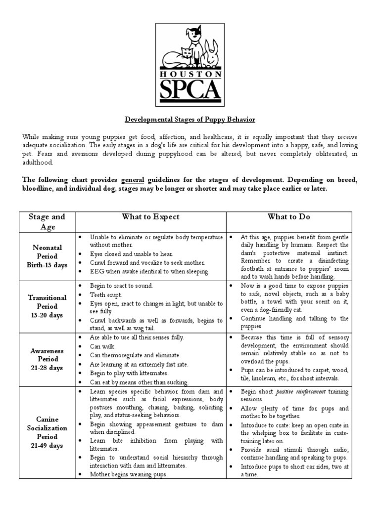 Developmental Stages of Puppy Behavior | PDF | Dogs | Socialization