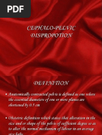 REEDA Acronym To Guide The Perineal Assessment Points Redness Edema ...