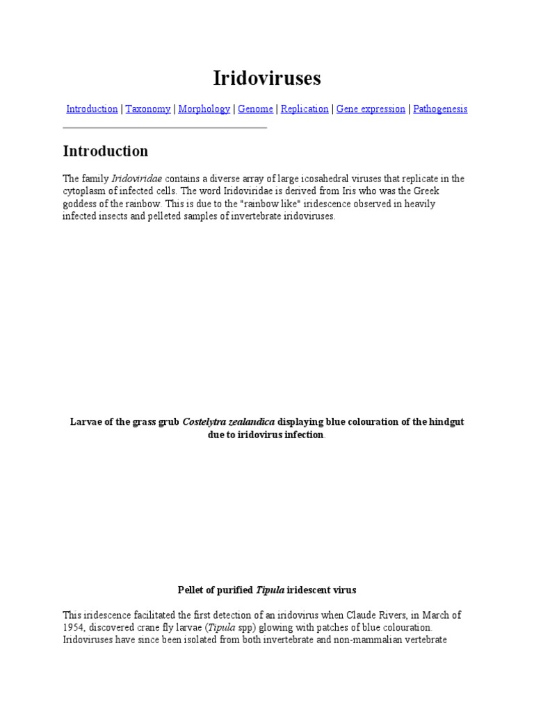 Iridoviruses: Taxonomy Morphology Genome Replication Gene Expression ...