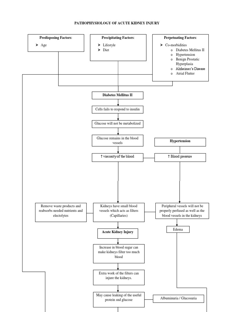 Pathophysiology of Acute Kidney Injury