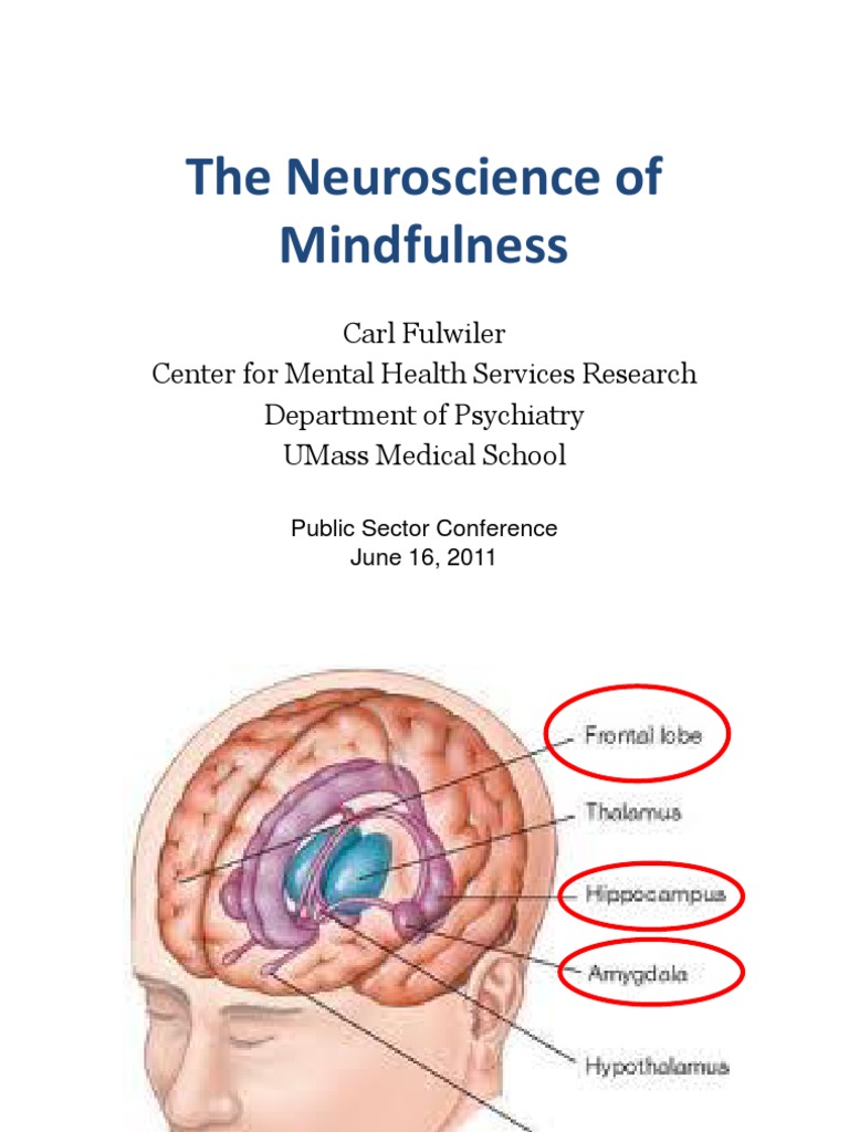 Neuroscience Mindfulness | PDF