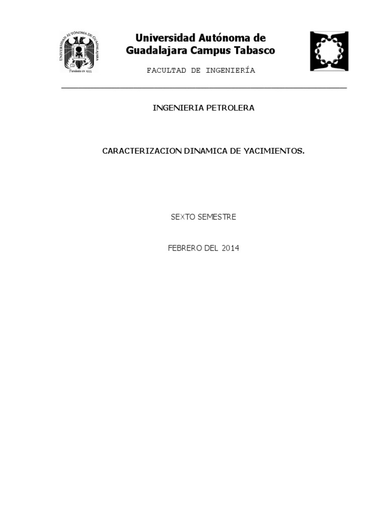 Cuestionario de Caracterizacion Dinamica de Yacimientos | PDF | Olas ...