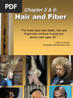 Hair Evidence in Forensic Investigations | PDF | Hair | Crime Scene