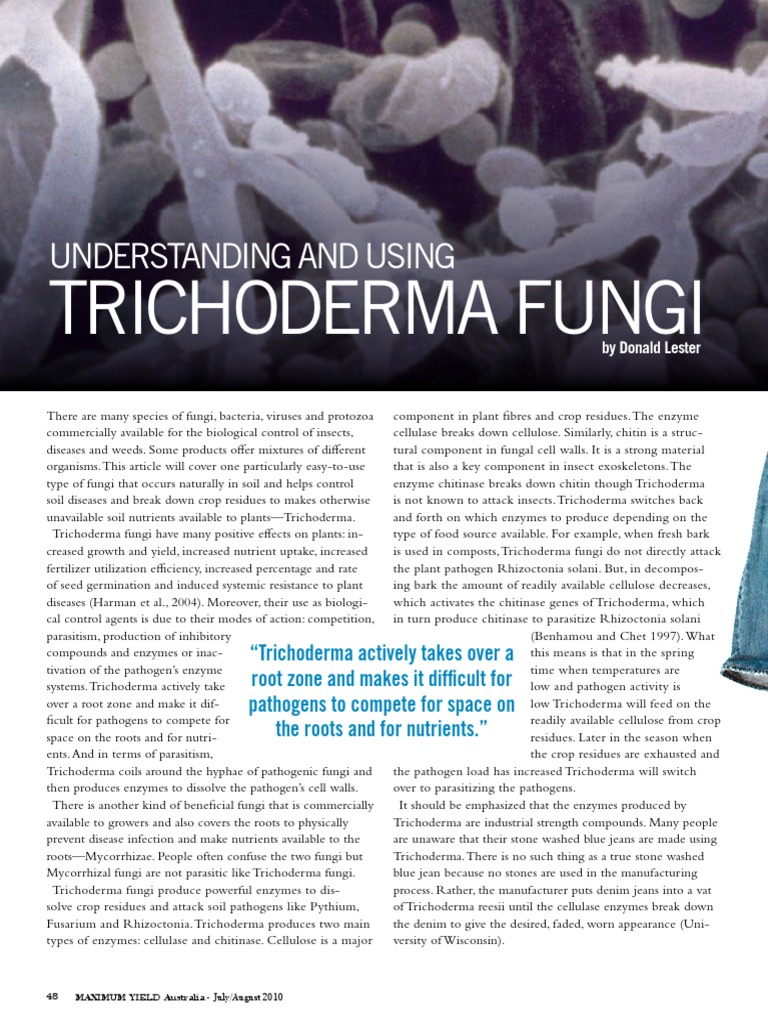 Understanding and Using Trichoderma Fungi | PDF | Hydroponics | Soil