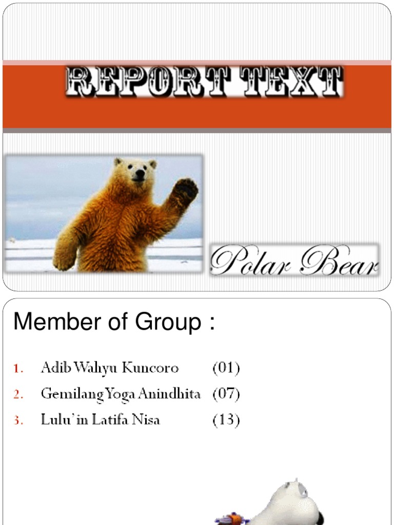 Polar Bear: Facts and Classification | PDF | Polar Bear | Bears