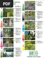 Mpob Grading Manual NEW2 | PDF