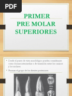 Primer Premolar Inferior | PDF | Ramas de Odontología | Anatomia dental