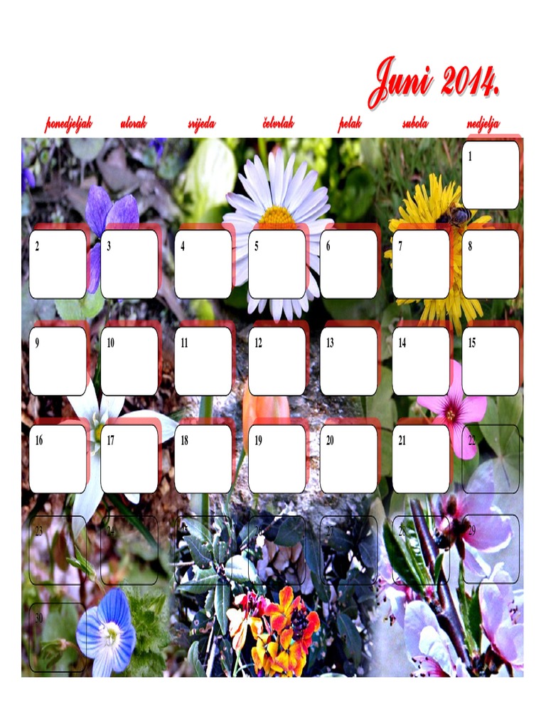 Kalendar Prirode Proljece 2014 | PDF