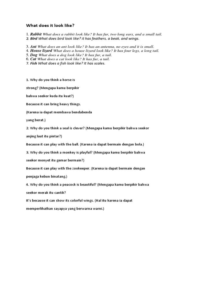 What Does It Look Like | PDF