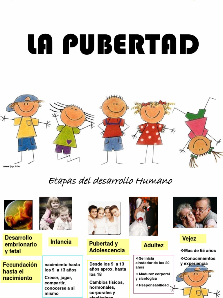Etapas de la Pubertad y Cambios Clave | PDF | Pubertad | Adolescencia