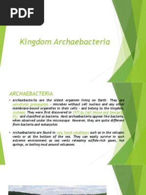 Kingdom Archaebacteria