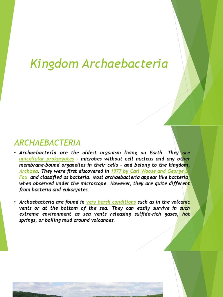 Kingdom Archaebacteria | PDF | Archaea | Bacteria